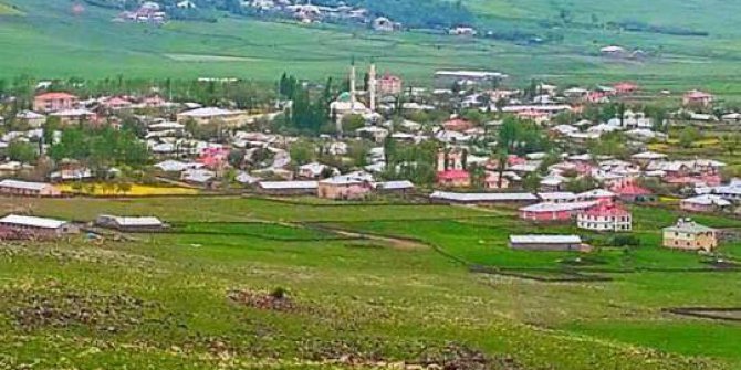 Karakoçan Tekardıç Köyü