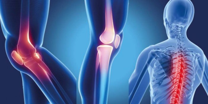 Eklem ve Eklem Çeşitleri