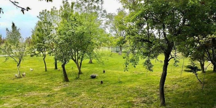 Kiraz Kırköy Köyü